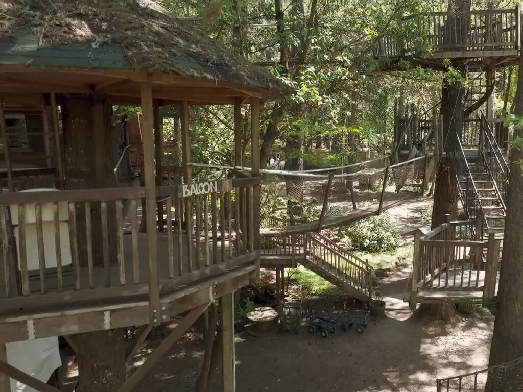 Man spends 30 years filling forest with incredible ‘fairytale ...