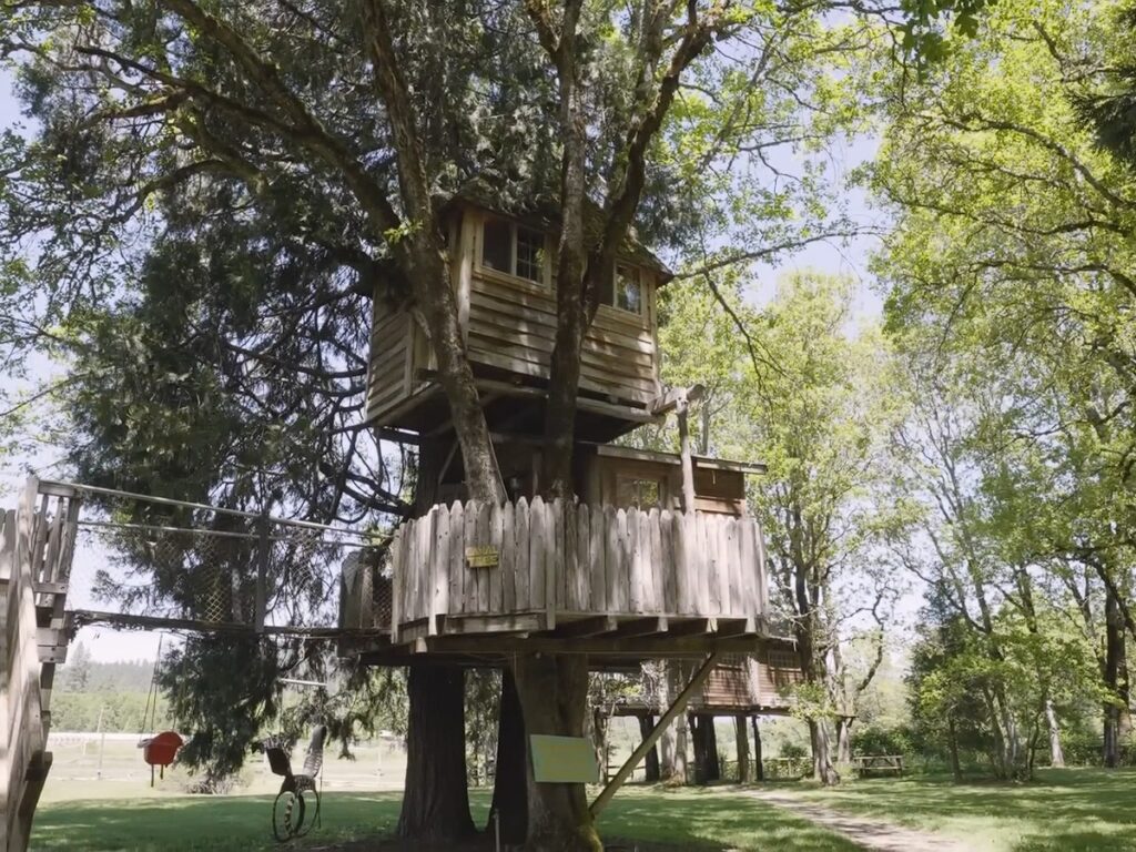 Man spends 30 years filling forest with incredible ‘fairytale ...