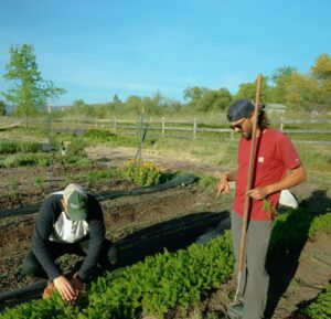“One-man farmer” shows how he pulls in 6 figures by farming 35 hours a ...