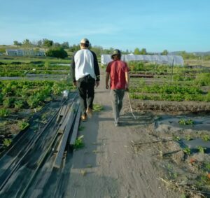 “One-man farmer” shows how he pulls in 6 figures by farming 35 hours a ...