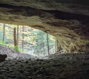 Couple finds old cave on property and turns it into enchanting 1,500 sq ...