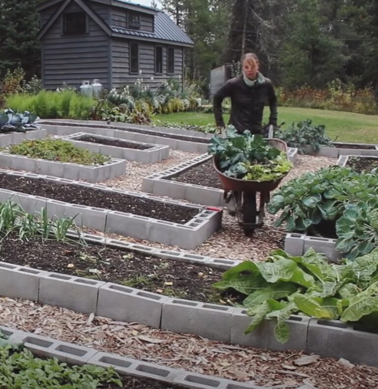Woman shows off her happy self-sufficient life with her dog on tiny ...