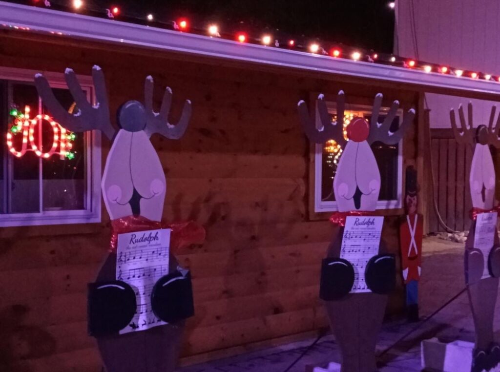 50 Epic Christmas Fails We Can’t Stop Laughing At