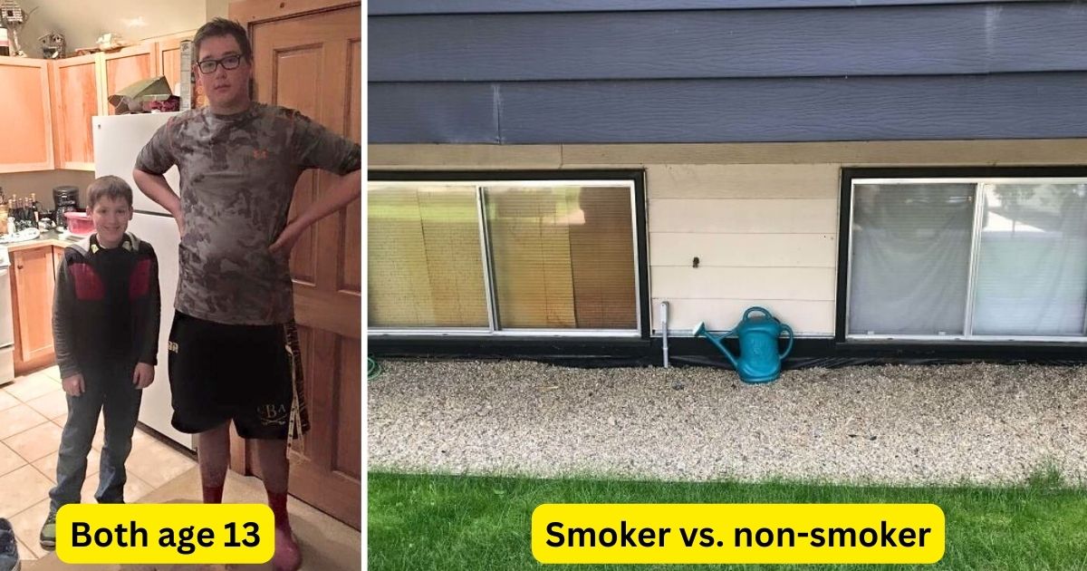 50 striking comparison images that force a double-take