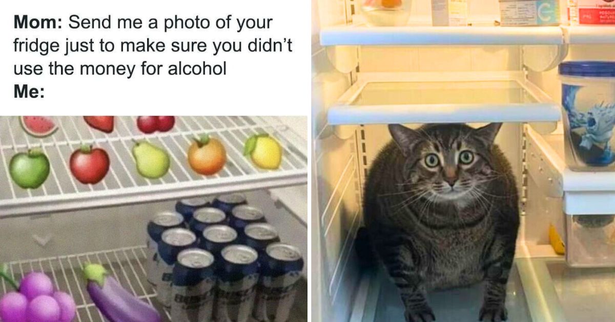 35 pics of the most hilariously unexpected things found in fridges
