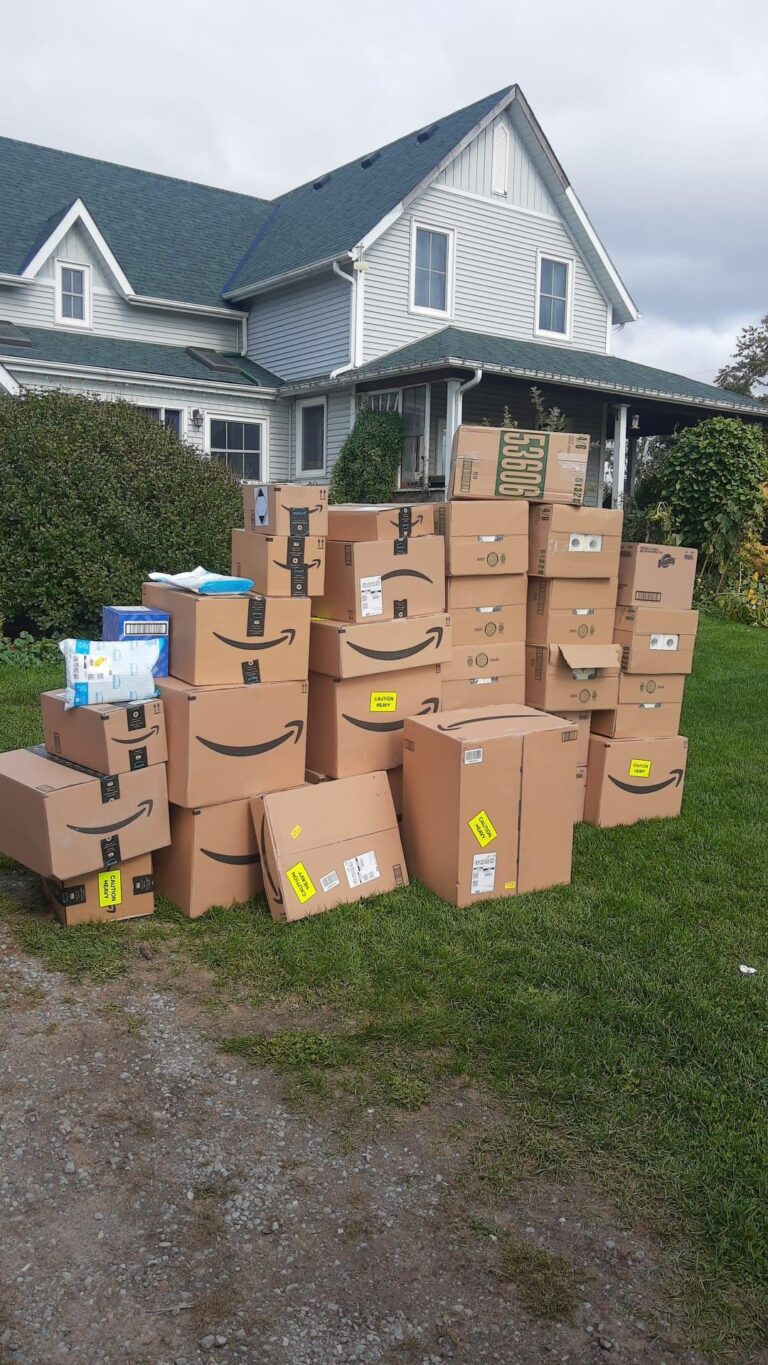 25+ Unexpected Dryer Lint Uses That Are Weirdly Awesome