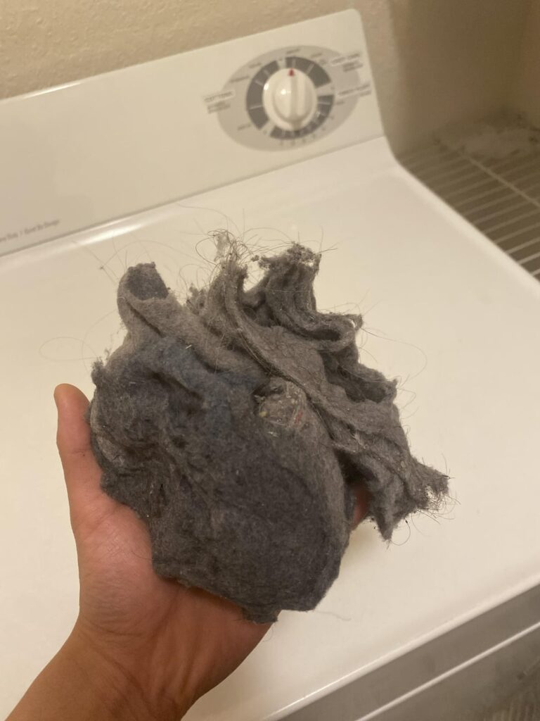 25+ Unexpected Dryer Lint Uses That Are Weirdly Awesome