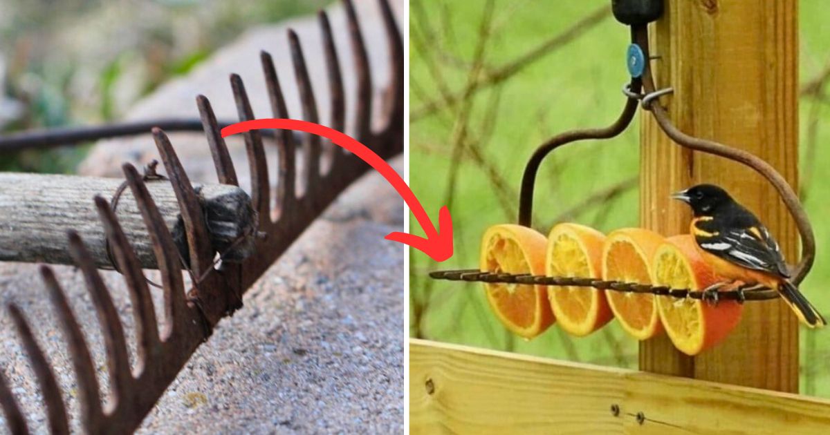 20 easy DIY bird feeders that’ll make you say “How have I never thought ...