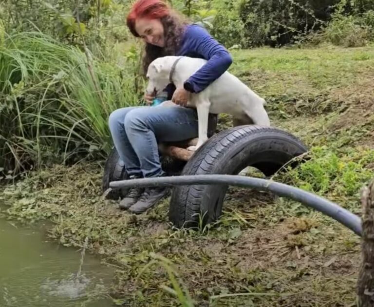 Constructive gardener saws used tire in half so she can make an ...