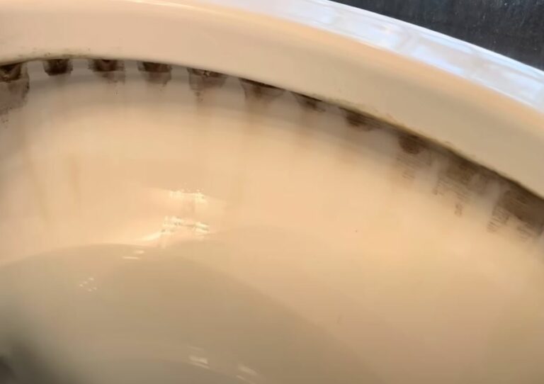 Why gross toilet scum keeps coming back and how to stop it for good