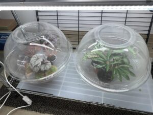 40 Simple Gardening Secrets Every Gardener Needs To Know