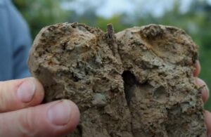 Here’s what the color of your garden soil actually means