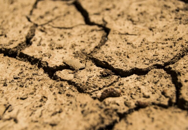 Here’s what the color of your garden soil actually means